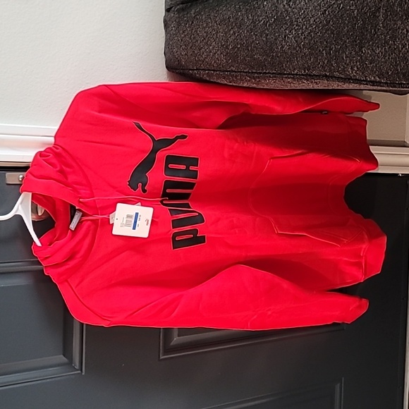 Puma | Other | Puma Mens Hoodie Mens Red Color | Poshmark